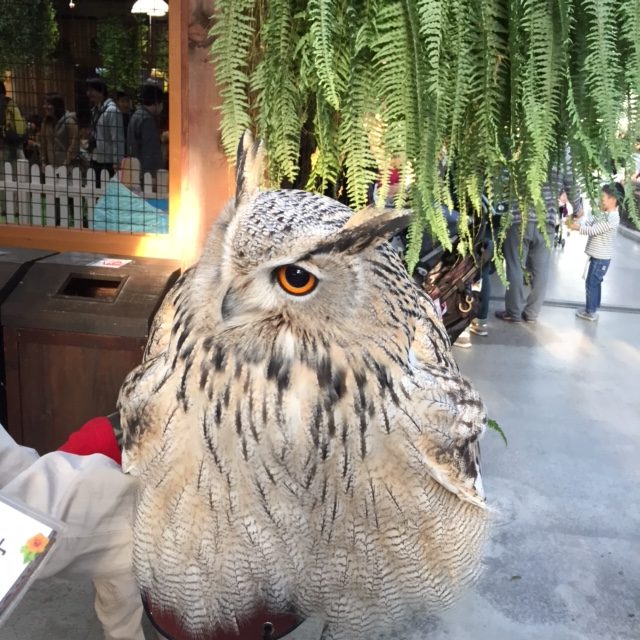 %e3%81%a9%e3%81%86%e3%81%b6%e3%81%a4 | うれしたのし人生後半